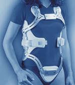 Whole Back Orthotics by Body Parts